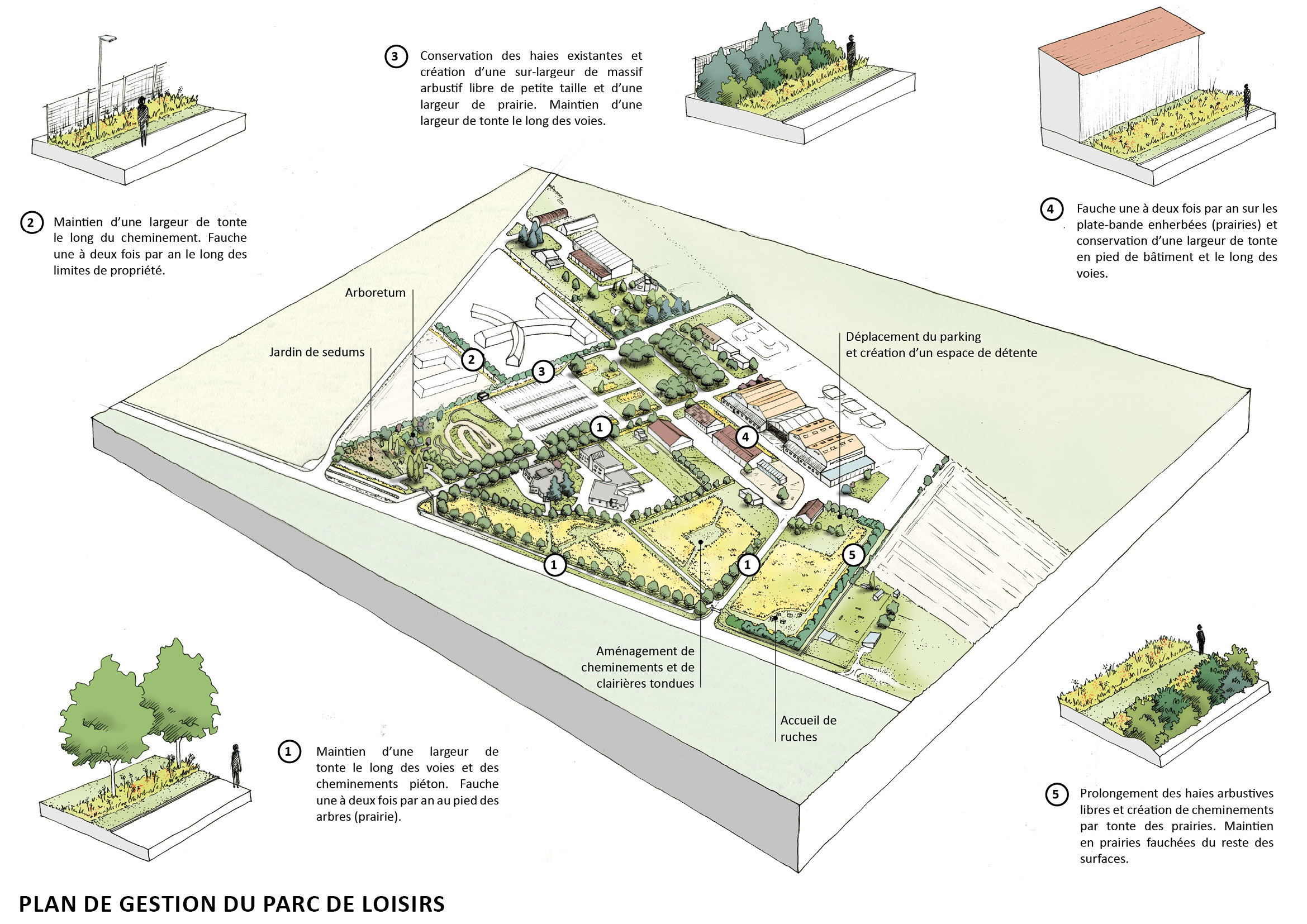 Audit et plan de gestion des espaces verts de la ville de Corbas - Caudex